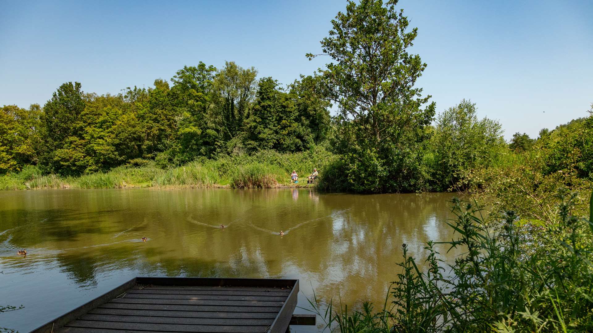 Fishery - Cottington Lakes