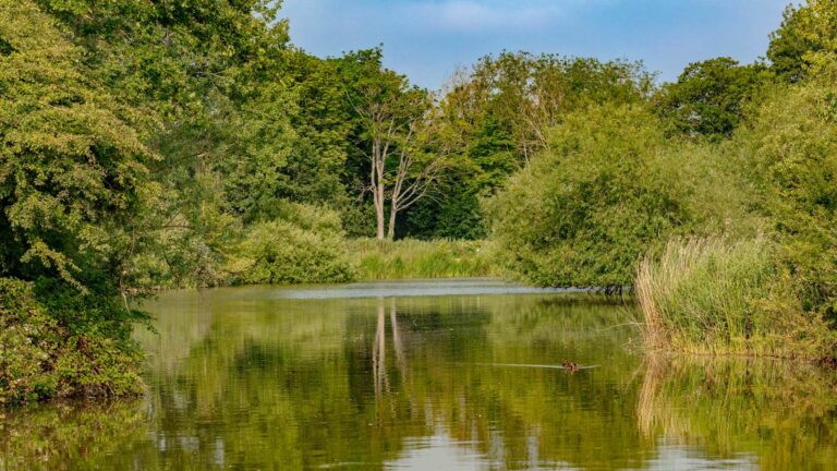 Christine Lake - Cottington Lakes