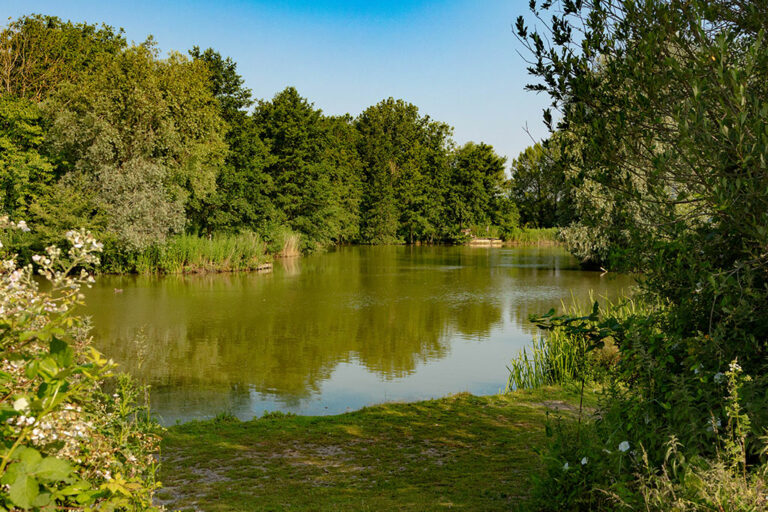 Christine Lake - Cottington Lakes