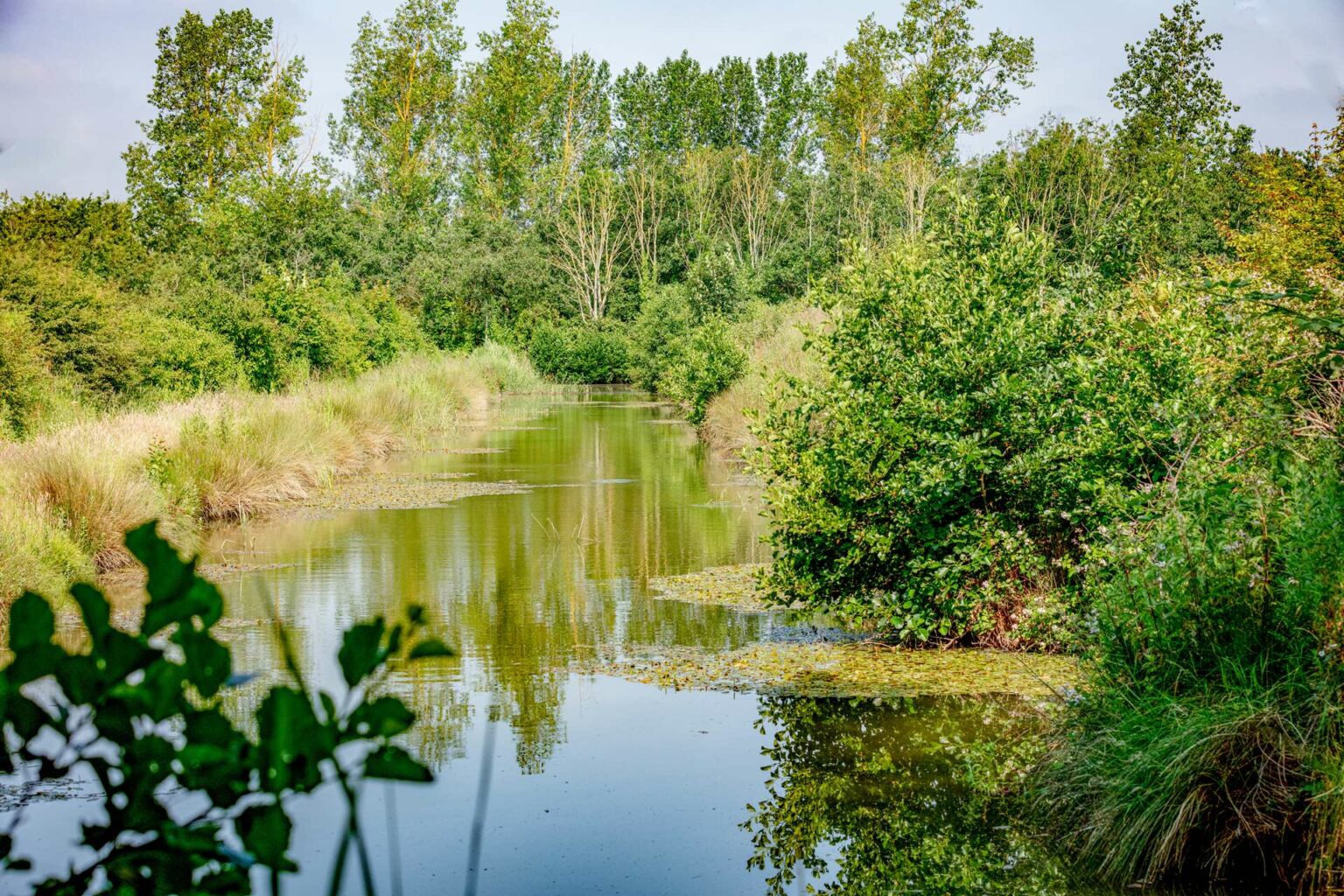 Lakes - Cottington Lakes
