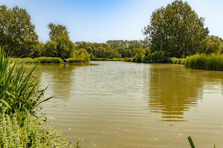 Lakes - Cottington Lakes